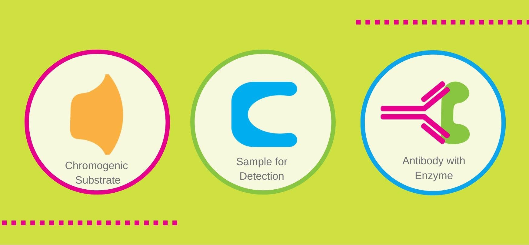 Chromogenic Assays What They Are And How They Are Used In Research 